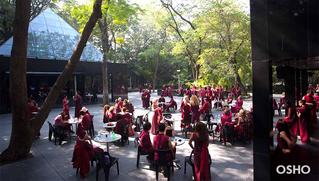 Plaza Cafe | OSHO – Transform Yourself through the Science of Meditation