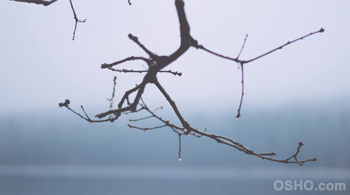 No-thinking | OSHO – Transform Yourself through the Science of Meditation