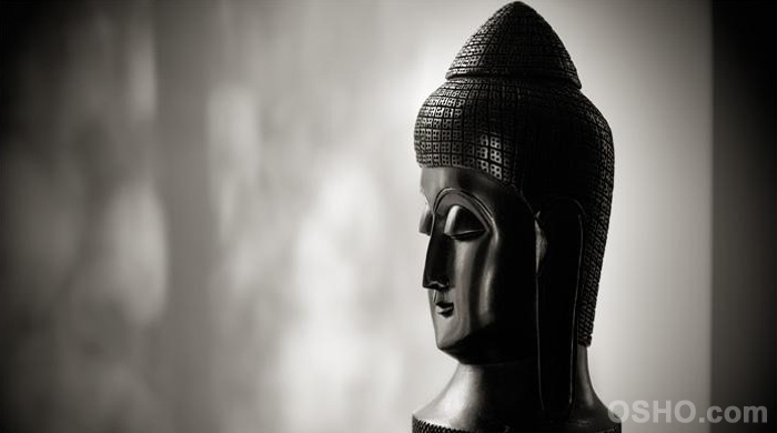 Encuentra tu propia voz