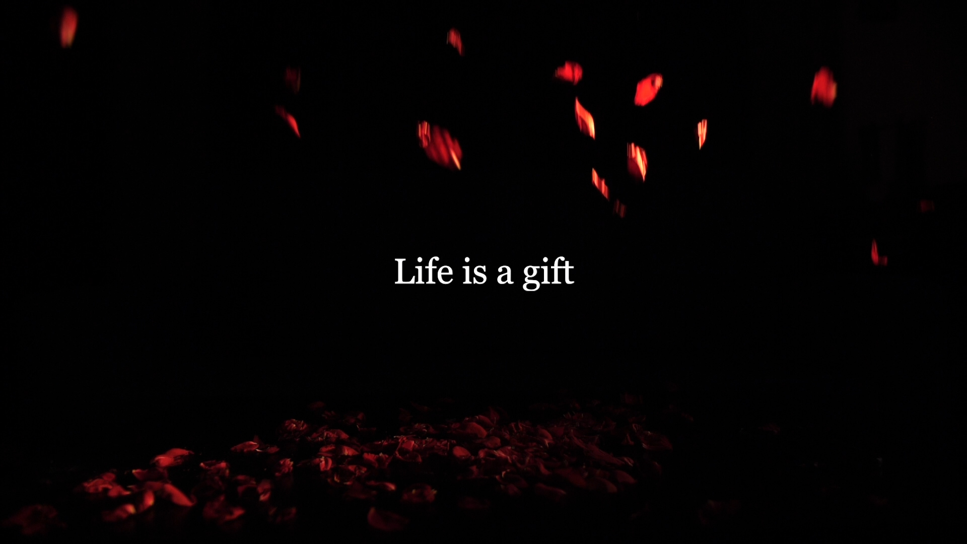 Ama la vita | OSHO – Transform Yourself through the Science of Meditation