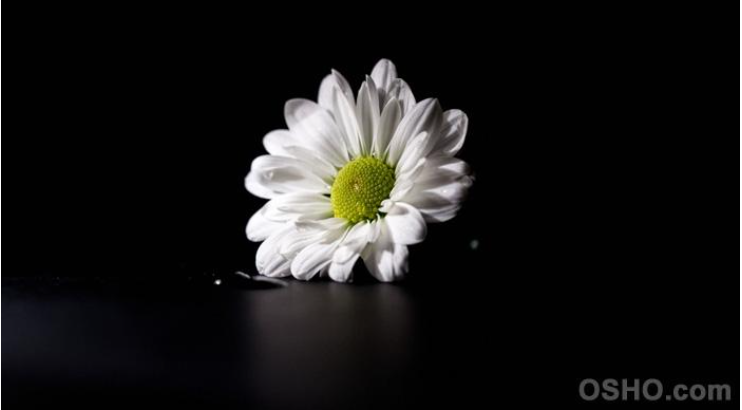 Relief of a Tense Stomach | OSHO – Transform Yourself through the ...