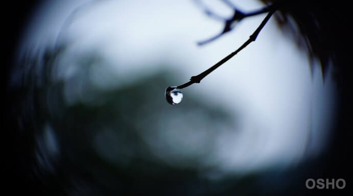 What Is the Connection between Inner and Outer Beauty?