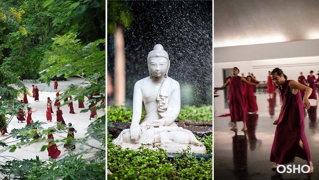 OSHO Meditation Resort – A Wellness Experience of a Lifetime