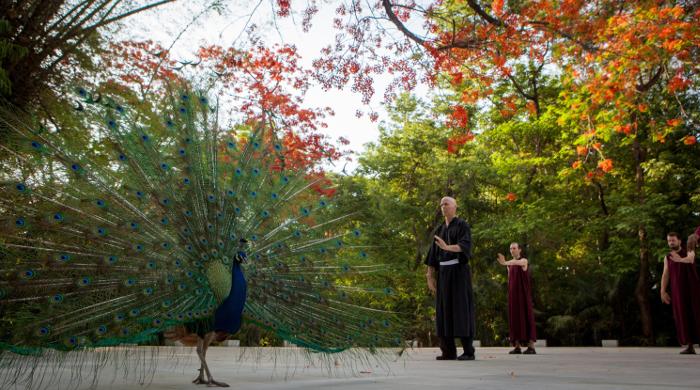 Morning Classes | OSHO – Transform Yourself through the Science of ...