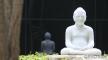 This very body, the Buddha: yes, you.